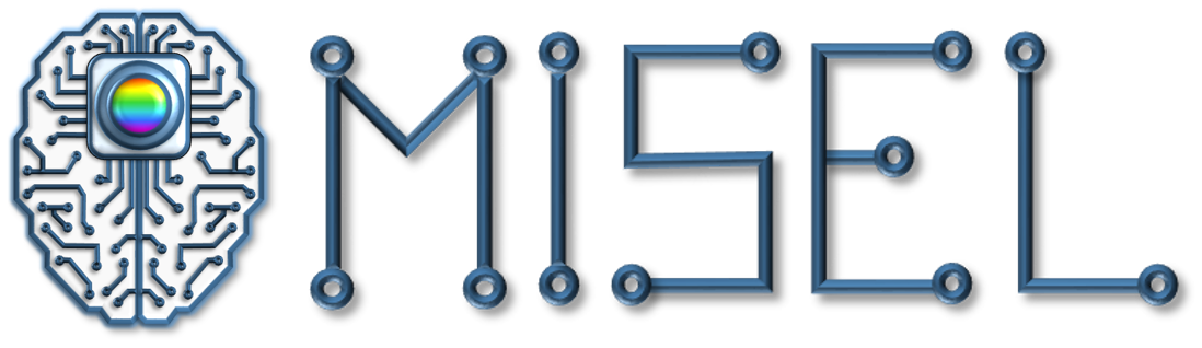 MISEL: a new EU-project for developing an intelligent camera-sensor ...